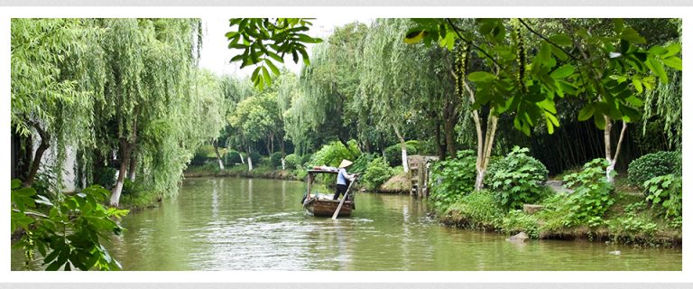 Disclaimer - Jane Chiodini