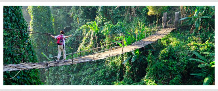 EducationUpdate-Banner - Jane Chiodini