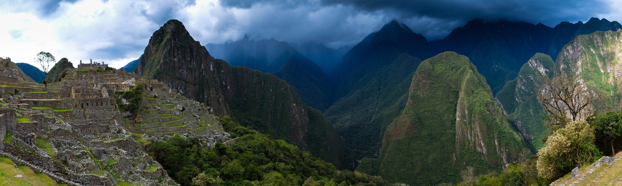 Jane Chiodini - Travel Health Specialist Nurse