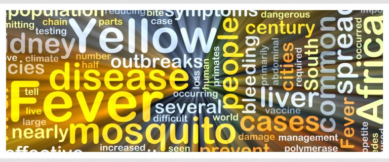Yellow Fever - Jane Chiodini