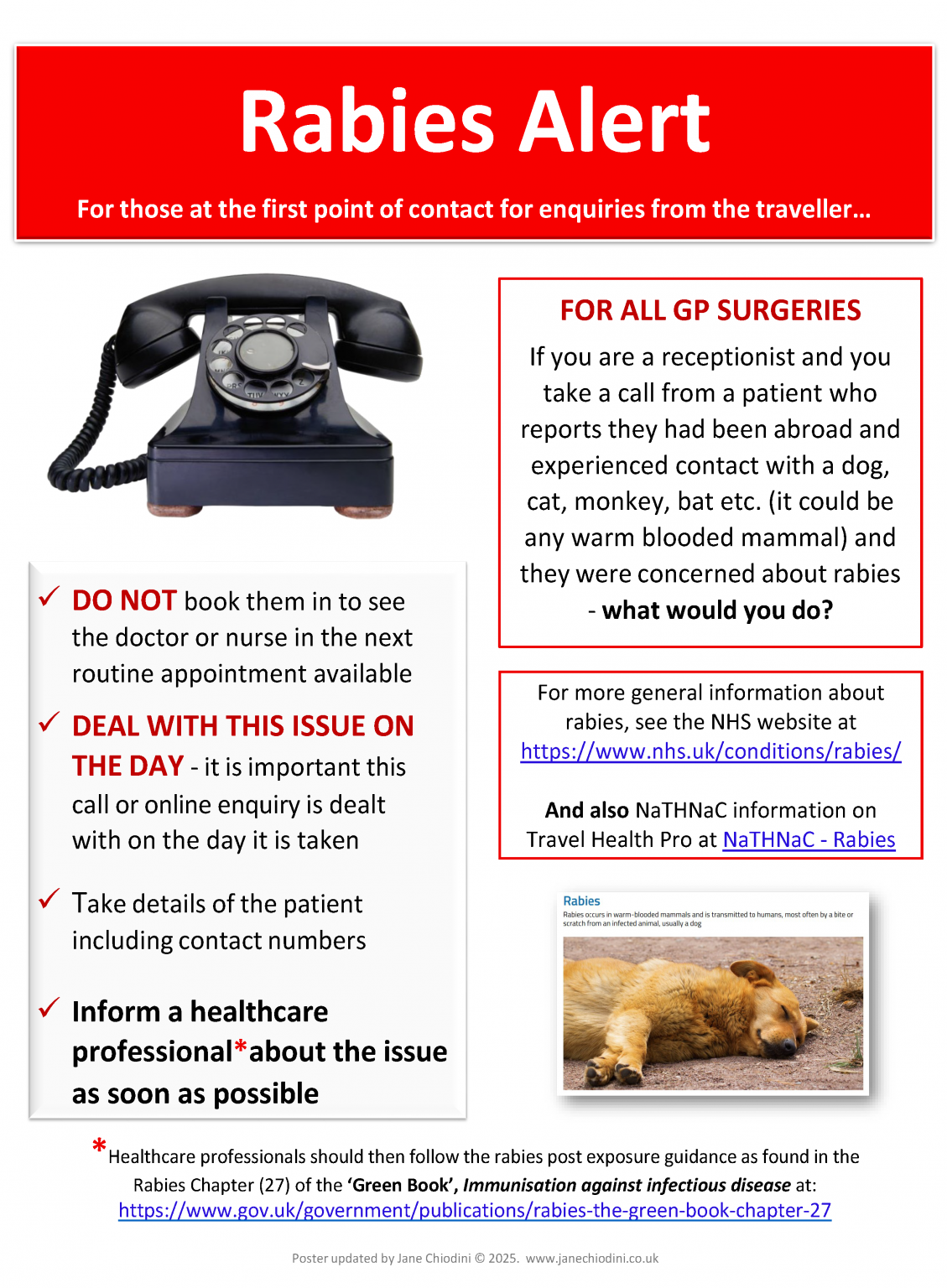 Rabies - Jane Chiodini